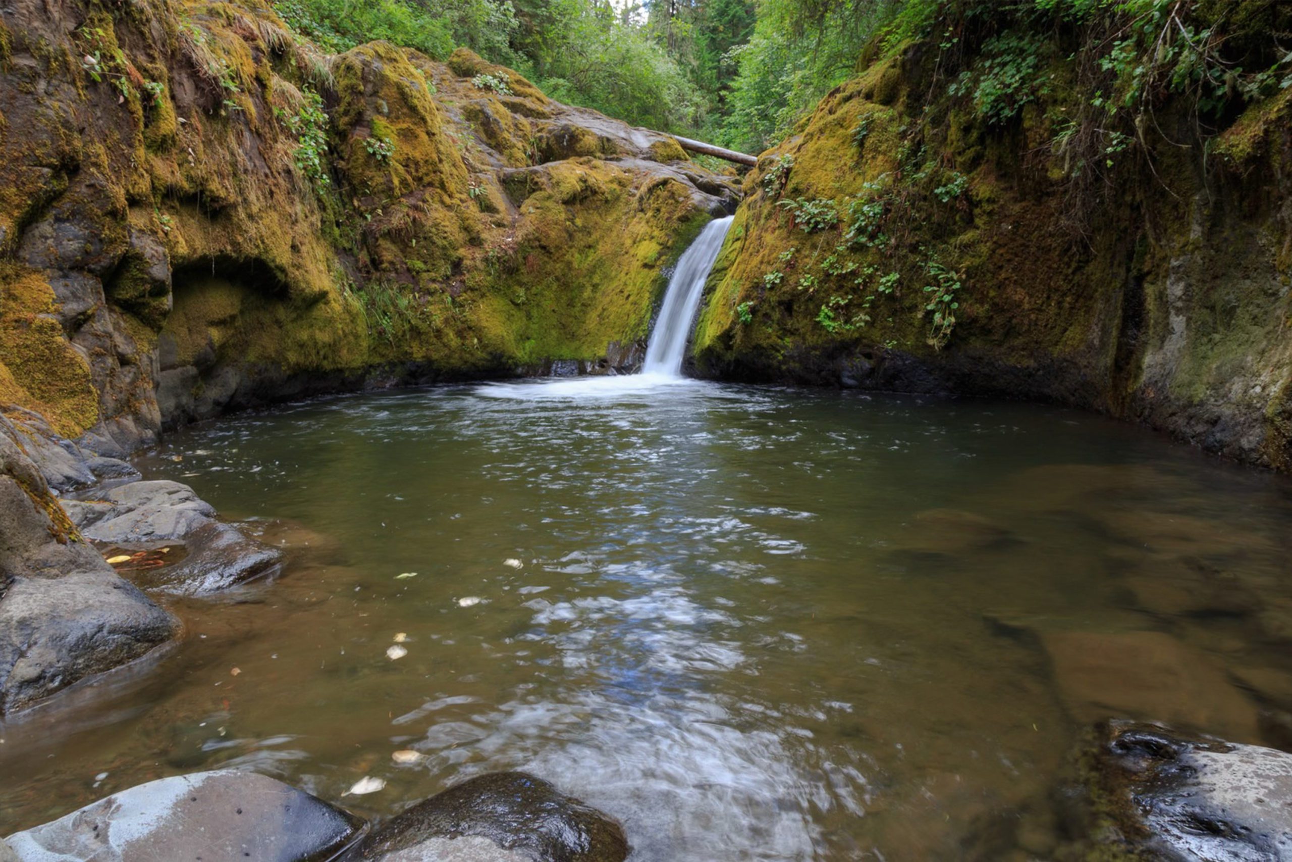 Men’s Soda Springs Hike | Living Waters Online